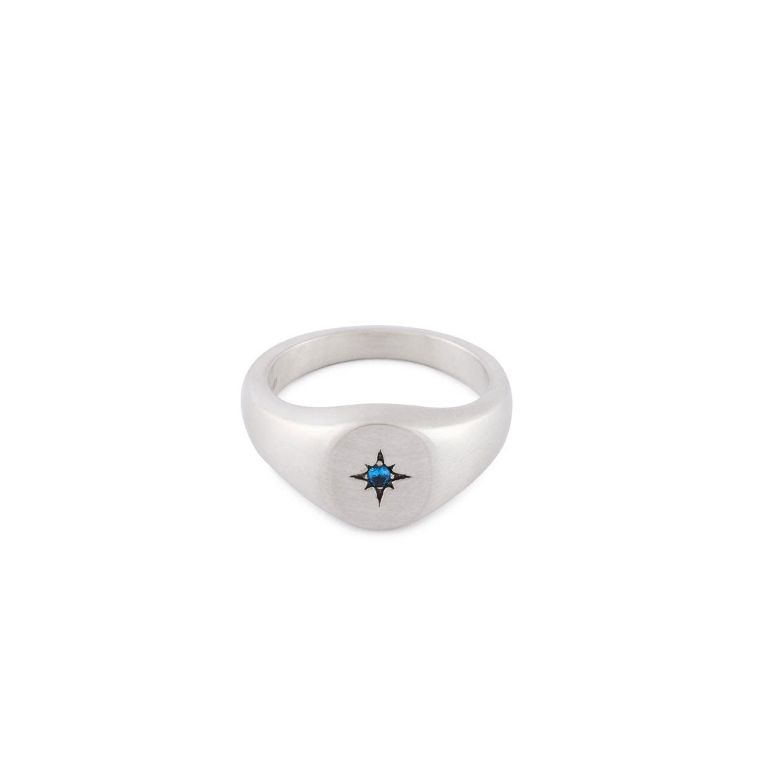 Silver Royal Envy Ring – Serge DeNimes